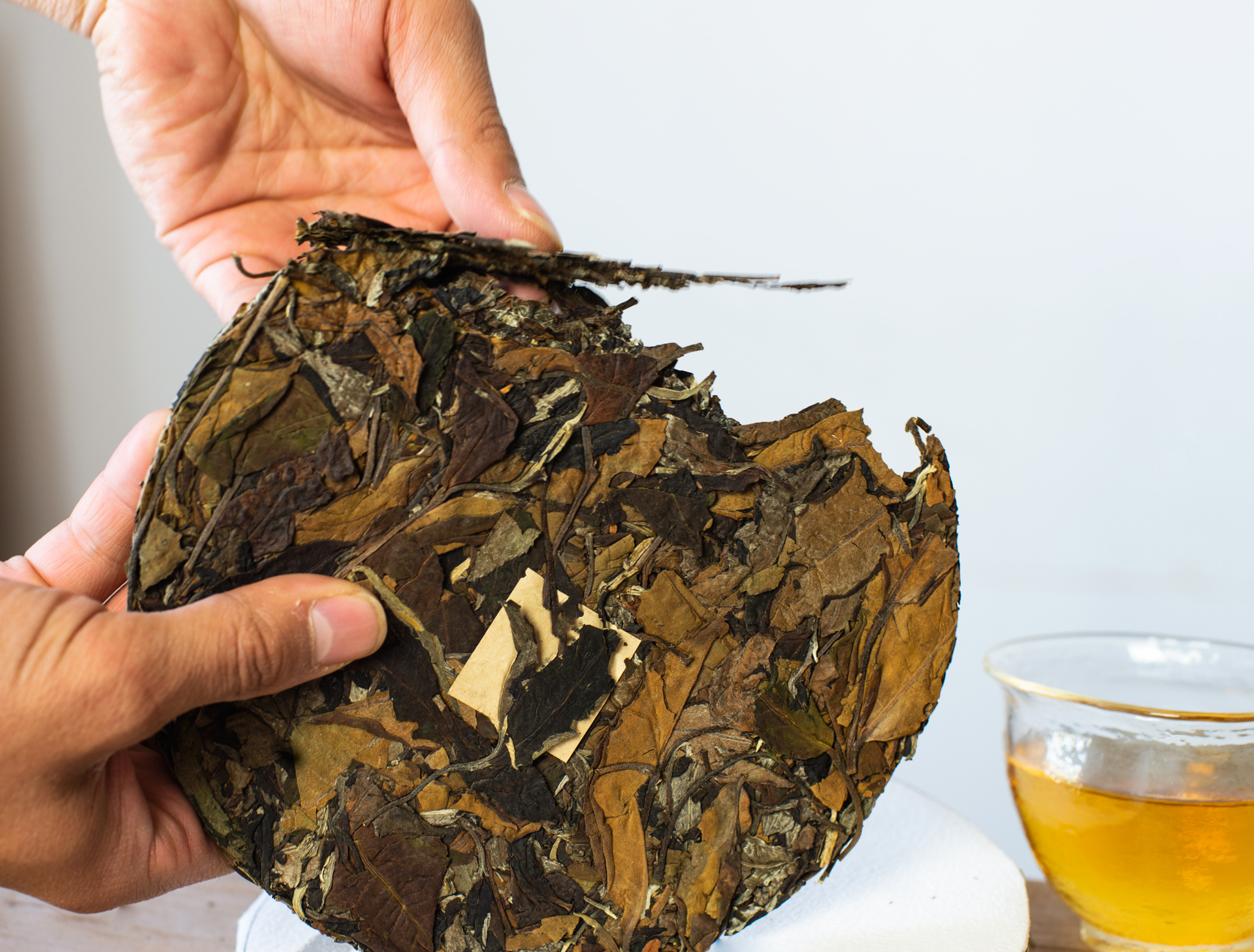 Be the first to review “Li Bai Jiuzhai Ancient Tree White Tea” Cancel reply